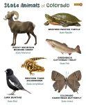 List of Animals That Live in Colorado - And Its State Animals (Photos)