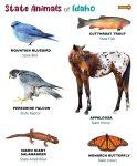 List of Animals That Live in Idaho - And Its State Animals (Photos)