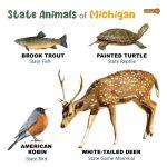 List of Animals That Live in Michigan - And Its State Animals (Photos)