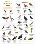 List of Birds Found in Vanuatu with Pictures