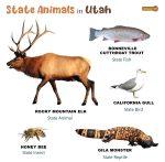 List of Animals That Live in Utah - And Its State Animals (Photos)